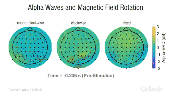 Can Humans Sense Magnetic Storms? | Spaceweather.com