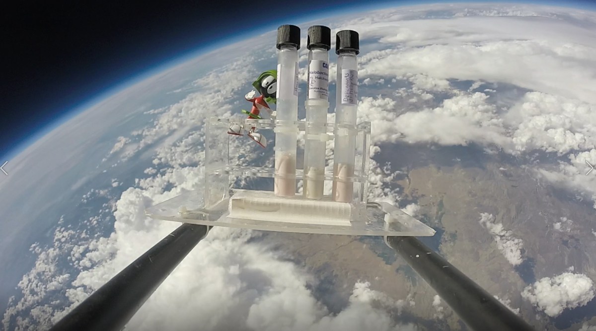 Halobacteria Change Color When They Touch Space | Spaceweather.com