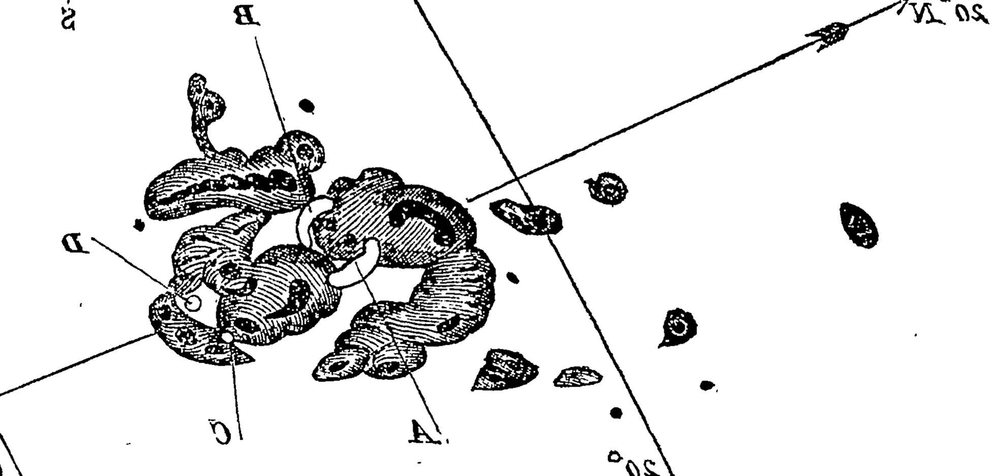 How Big was Carrington’s Sunspot? | Spaceweather.com